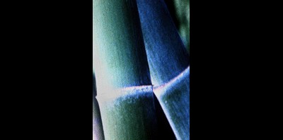 숨 (2007) - The Breth | 드라마 영화 | 장민용 감독 | 영화창고