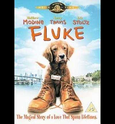 플루크 (1995) - Fluke | 가족 영화 | 카를로 카를레이 감독 | 평점 9.5 | 영화창고