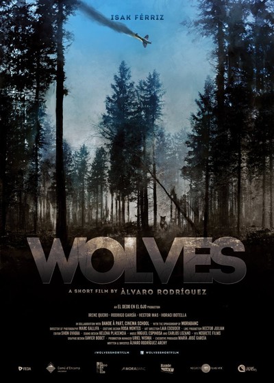 울브스 (Wolves, 2016) 영화 정보